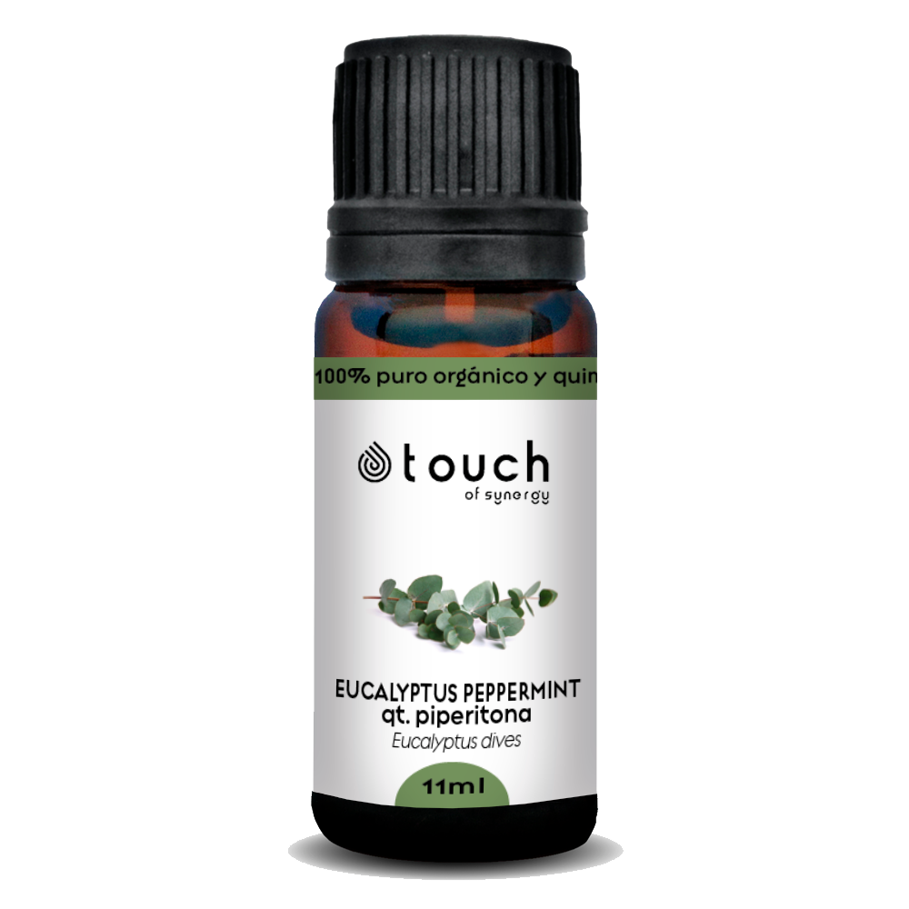 Eucalipto Mentolado - Eucalyptus Peppermint qt. piperitona – Touch of ...